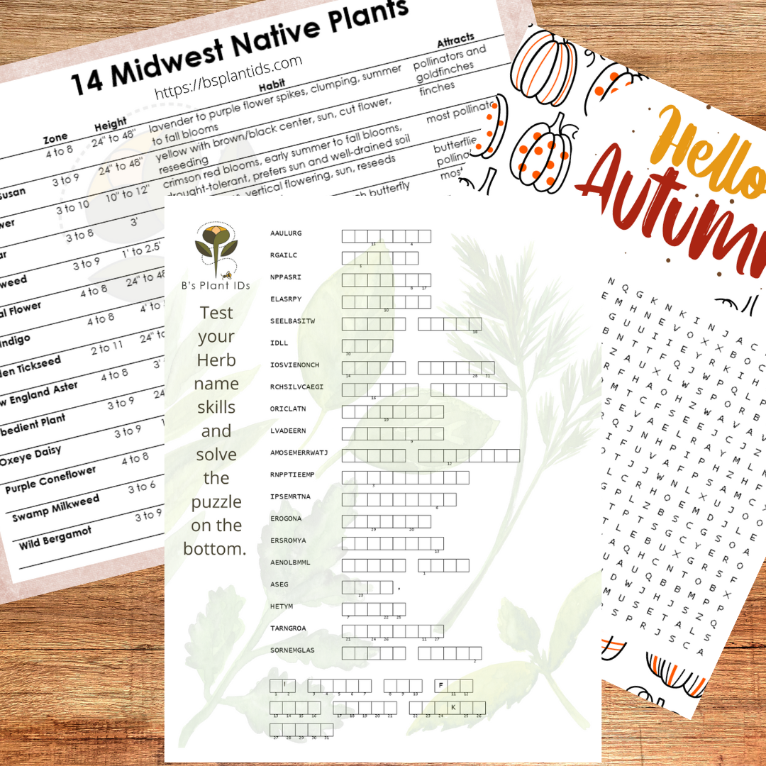 Downloads FREE with code WELIKEYOU – B's Plant IDs